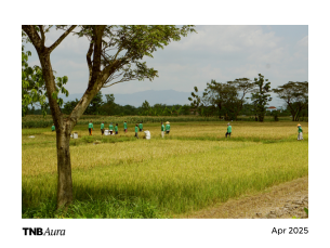 Eratani closes Series A to boost food security and rice production ...